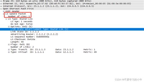 网络精通 Ospf的七类lsaospf7类lsa类型 Csdn博客