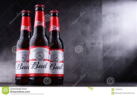 Bottles Of Bud Beer Editorial Photo Image Of Pale Bottles 116065316