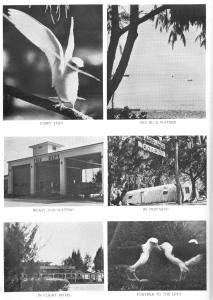 1964 Midway Islands Yearbook Album From Francis Odonnell