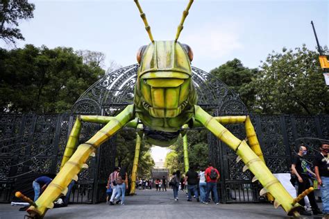Páscoa 2022 Onde Estão Três Belos Parques Para Desfrutar Na Cidade Do