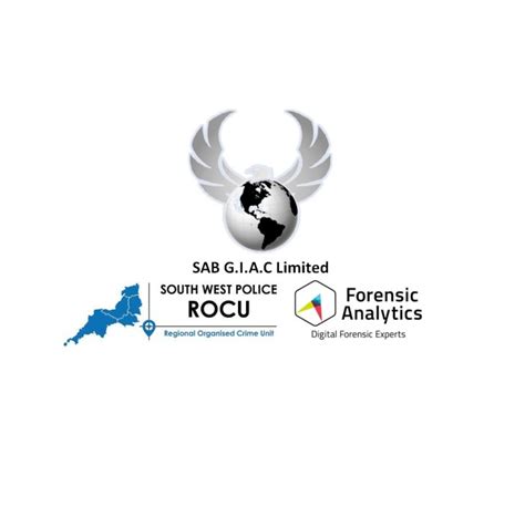 Developing Analytical Capability