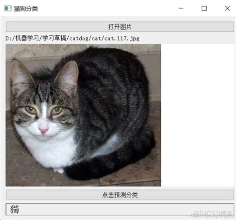 猫狗识别pyqt可视化 Csdn博客