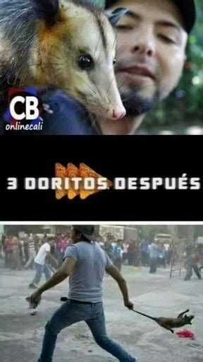 Pobre Tlacuache •anime• Amino