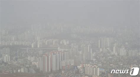 대구 미세먼지 1115 ㎍㎥ 최악전국 15개 시·도 황사 경보종합2보 네이트 뉴스