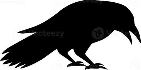 Halloween Crow Silhouette 12509206 Png
