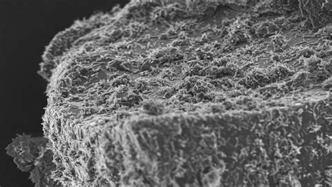 Database Clarifies Bottom Up Design Of Cement Epfl