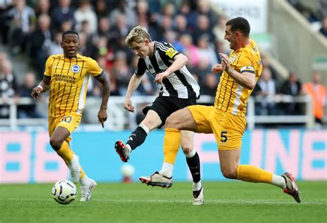 جوردون يوقع عقداً طويل الأمد مع نيوكاسل