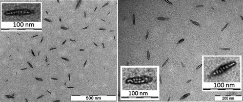 Figure S22 Average Localization Of Pyrene Molecule In Octameric Form Download Scientific