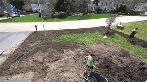 Homemade Lawn Patch Mix At Jessie Simmon Blog