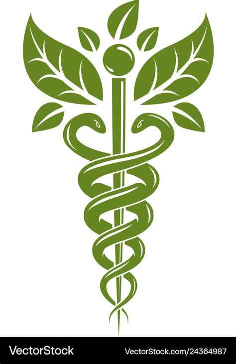 Caduceus Symbol Healthcare Conceptual Homeopathy Vector Image