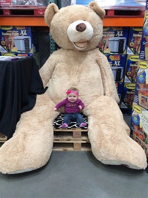 22 Reasons Costco Is Americas Greatest Achievement Costco Bear Teddy Bear Big Teddy Bear