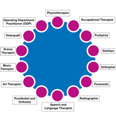 What Is A Ahp Allied Health Professional Health Service Navigator
