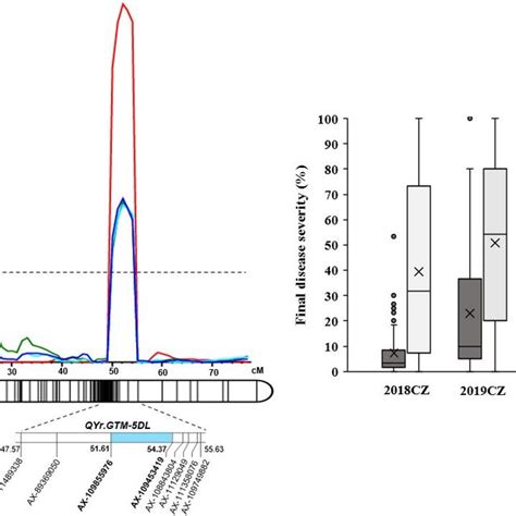 Pcr Amplification Patterns Of Representative Dcaps Markers Dcaps 5722