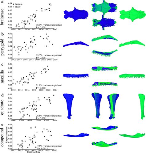 multivariate regression of shape variable on cs in n tessellata the