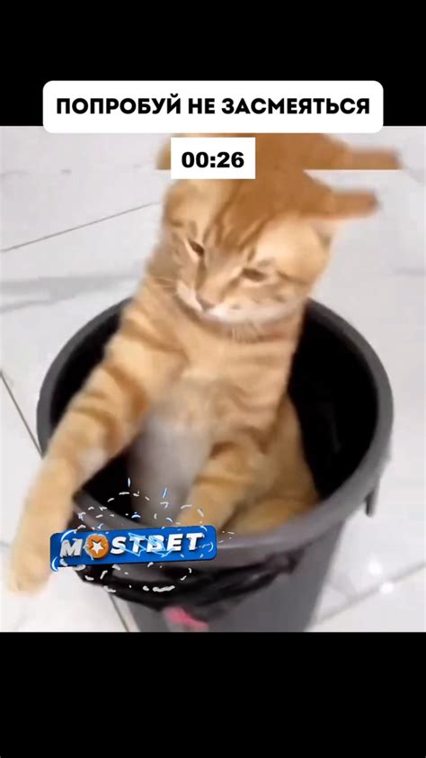 ТУТ ЮМОР Юмор Приколы Попробуй не засмеяться юмор смех рилс Instagram