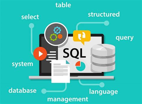 Sql Sql