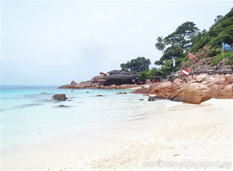 Entree Kibbles Snorkeling Right Outside Laguna Redang Island Resort