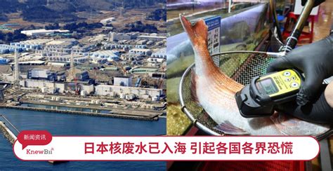【新闻资讯】日本核废水已入海 引起各国各界恐慌 Knewbii