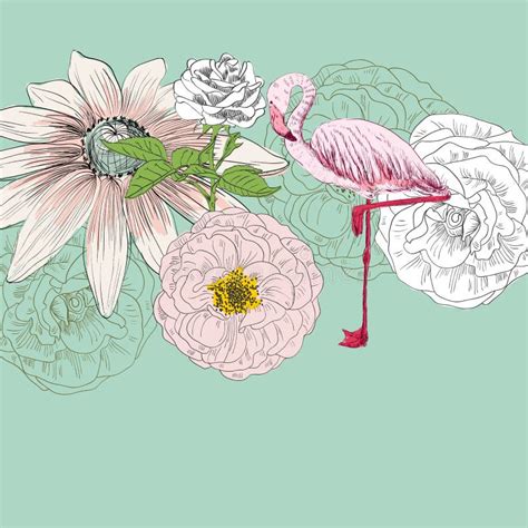 Flamingo Vector Illustration Stock Vector Illustration Of Fauna