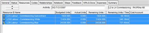 Primavera P6 Fill Down Australasian Project Planning