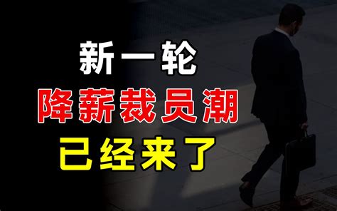 新一轮降薪裁员潮已经来了 铁锤观察室 铁锤观察室 哔哩哔哩视频