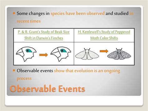 Ppt Evolution Continued Evidence And Other Concepts Powerpoint Presentation Id1171453
