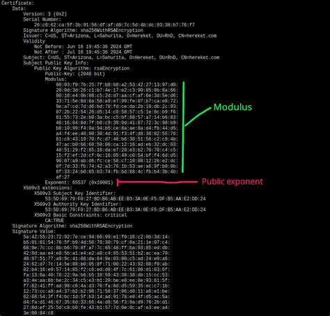 Simplified Explanation Of How Rsa Message Encryptiondecryption Works