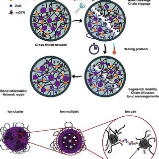 Representative Scheme Of The Self Healing Mechanism By The