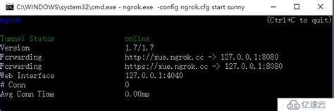 Ngrok内网穿透利器 开发技术 亿速云