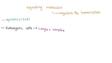 Solved As A Flowchart Draw And Identify The Pamp Prr That Recognizes Pamp Molecules And