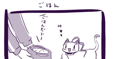 Fatezero 猫漫画と落書きです⑤ 西のグスタフのマンガ 間桐雁夜 バサ猫 セイバー Pixiv