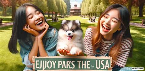 Teacup Pomsky Puppy Care New Owner S Guide