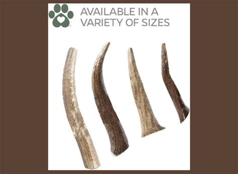 Deliciously Healthy Snacks Dog Antler Chews