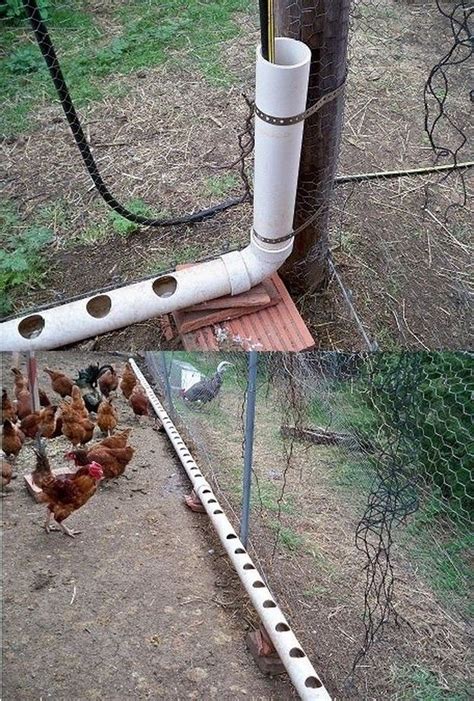 Homemade Chicken Feeders And Waterers Houses