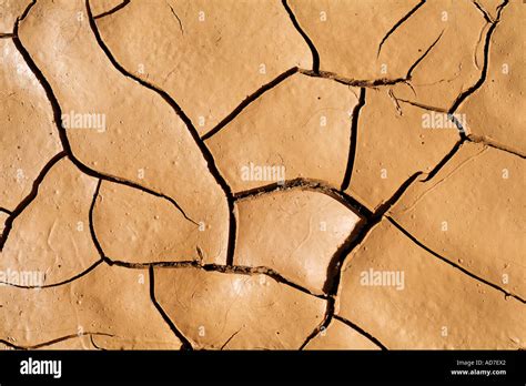 Loamy Soil Hi Res Stock Photography And Images Alamy