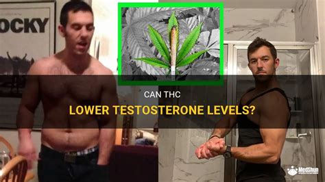 Can Thc Lower Testosterone Levels MedShun