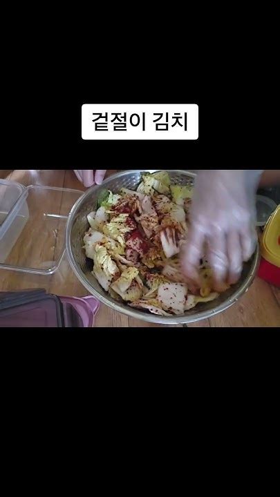집밥 Food 김치 겉절이 알배추 겉절이 Youtube