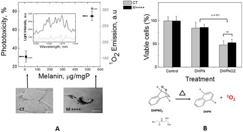 The Effects Of Singlet Oxygen On Cells A Phototoxicity And