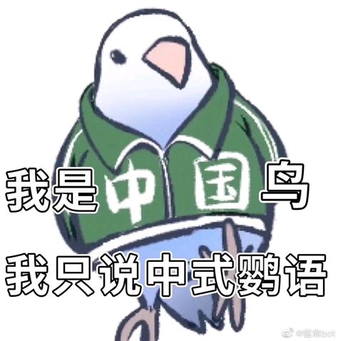 一些鸟鸟表情包 哔哩哔哩