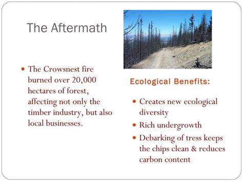 Crowsnest Fires Ppt