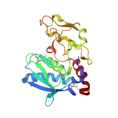 RCSB PDB AST STRUCTURE OF ASTACIN AND IMPLICATIONS FOR ACTIVATION OF ASTACINS AND ZINC