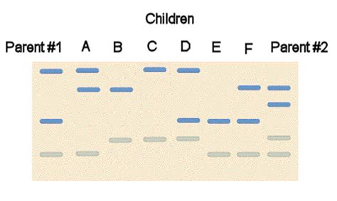 En la imagen de abajo puedes ver en una gráfica la evolución de las veces en las que la gente