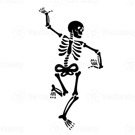 Cute Dancing Skeleton 27763336 Png