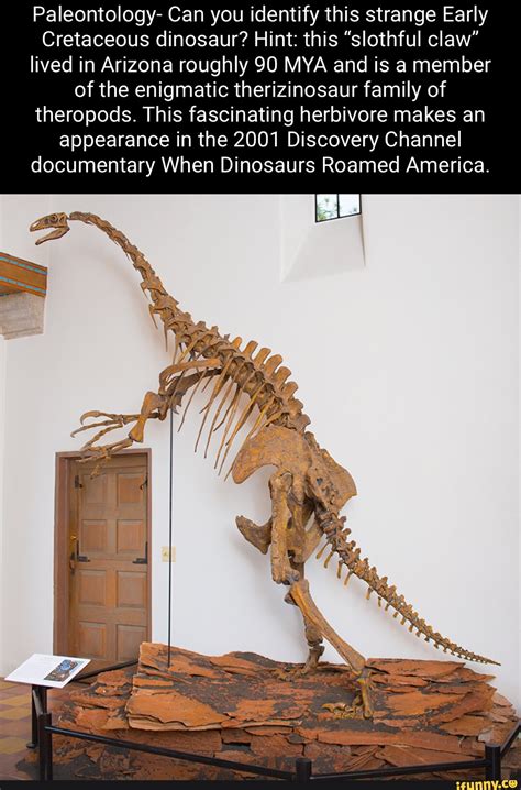 Paleontology Can You Identify This Strange Early Cretaceous Dinosaur