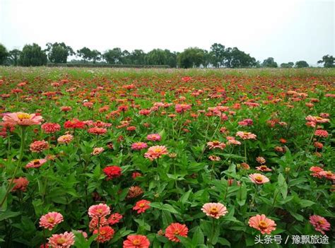 渤海國上京龍泉府遺址 每日頭條