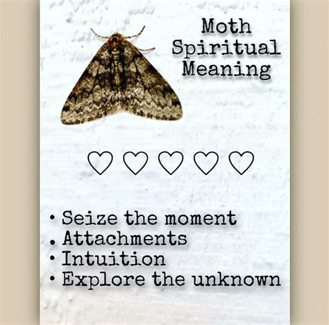 Moth Meaning And Symbolism Artofit
