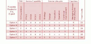 Itil V3 Expert Certification Options Abhinav PMP