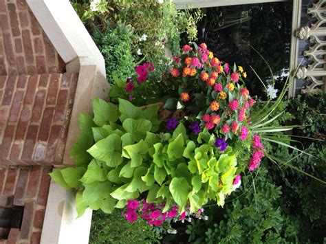 Container Gardens 8 Fantastic Ideas Garden Lovers Club