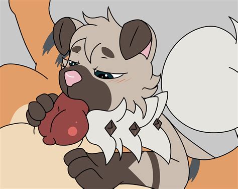 Rule 34 Animal Genitalia Animal Penis Blush Canid Canine Canine Penis