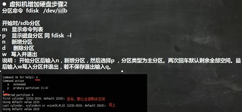 【linux第11 12章实操篇】定时任务调度；linux磁盘分区、挂载 Csdn博客